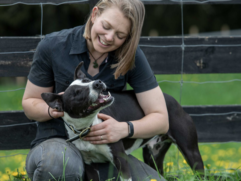 Animal Behaviour Training | Veterinary Behaviour Training | Waikato, NZ